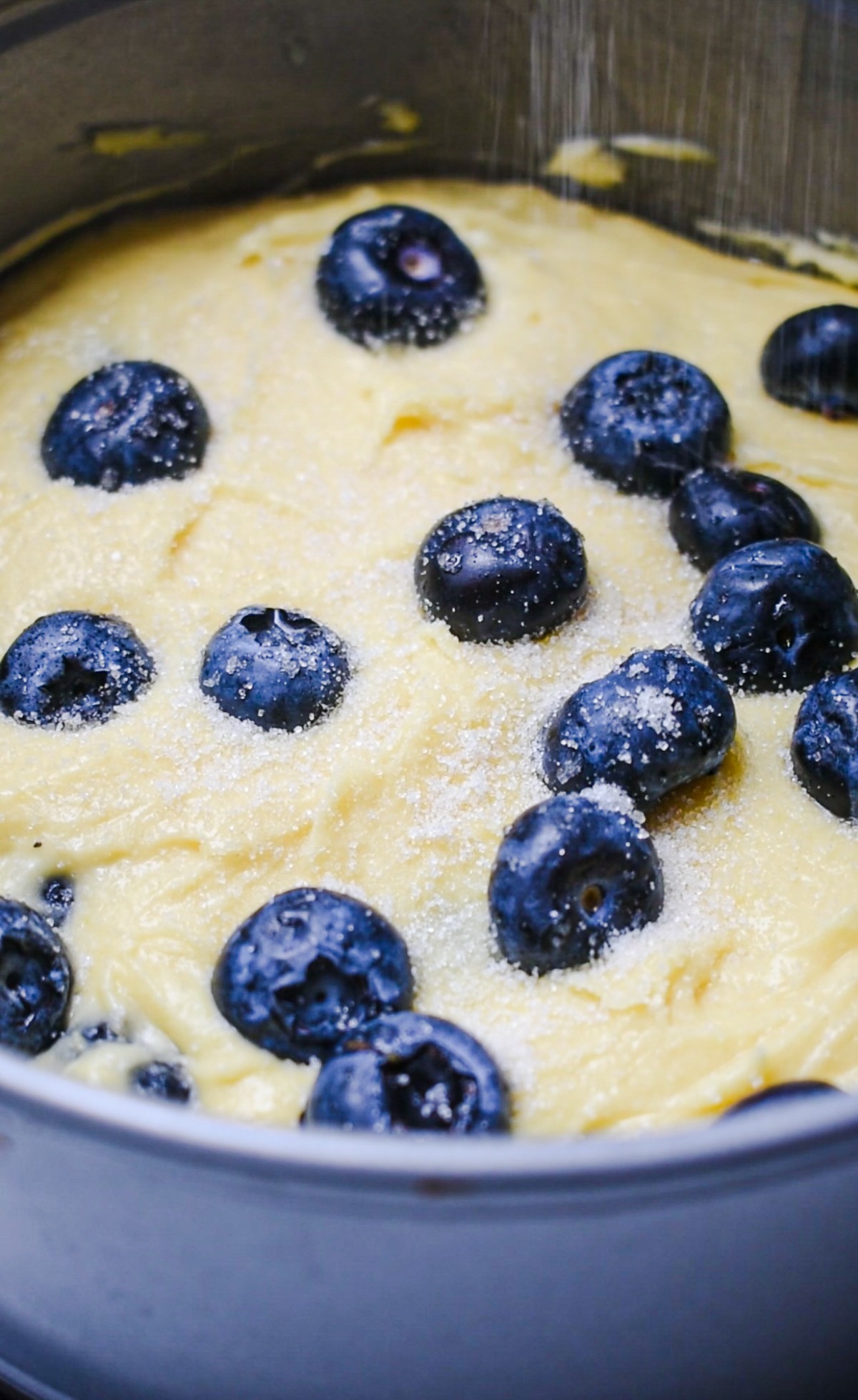 Lemon Blueberry Torte - UncomplicatedChef